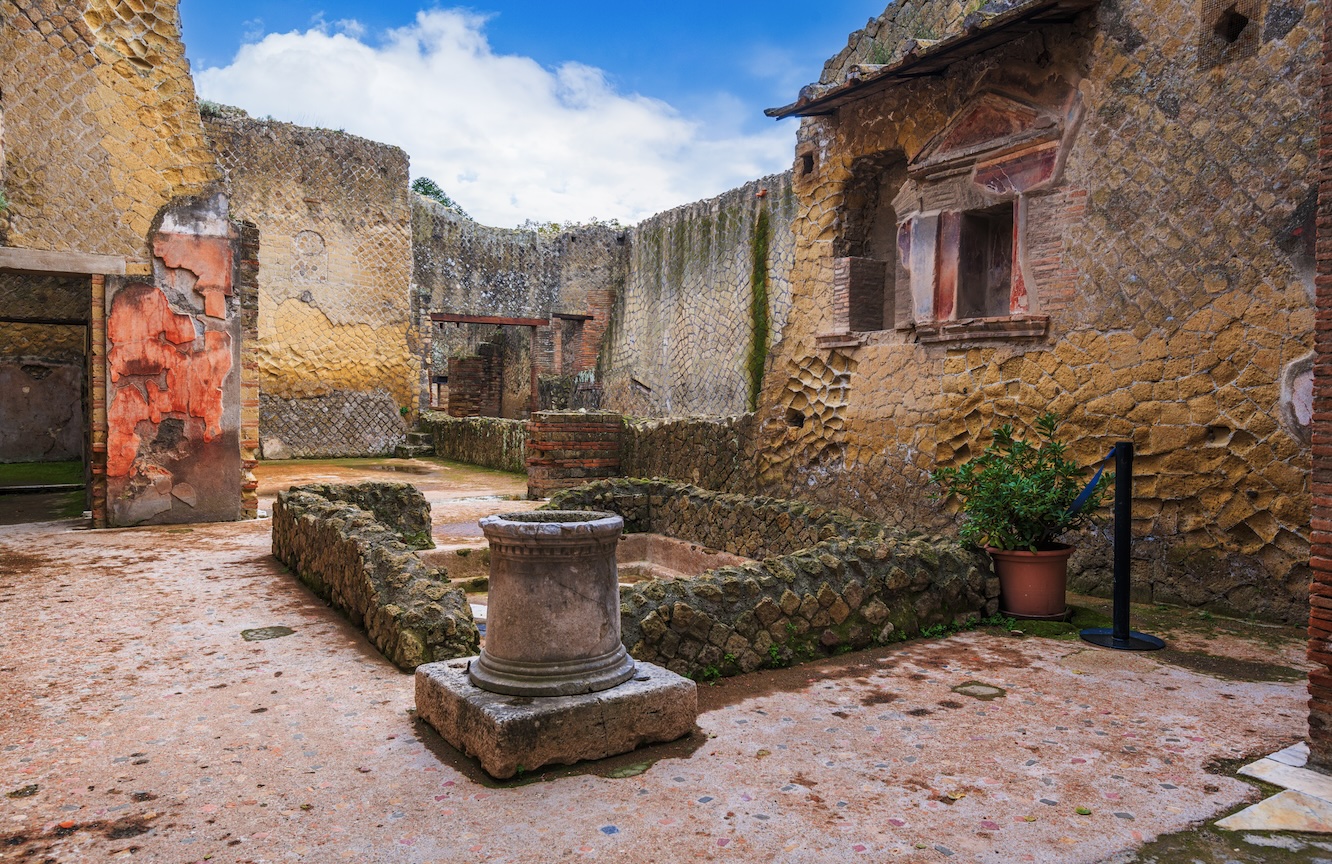 Private Tour from Naples to Herculaneum - Sorrento Limo Car Service